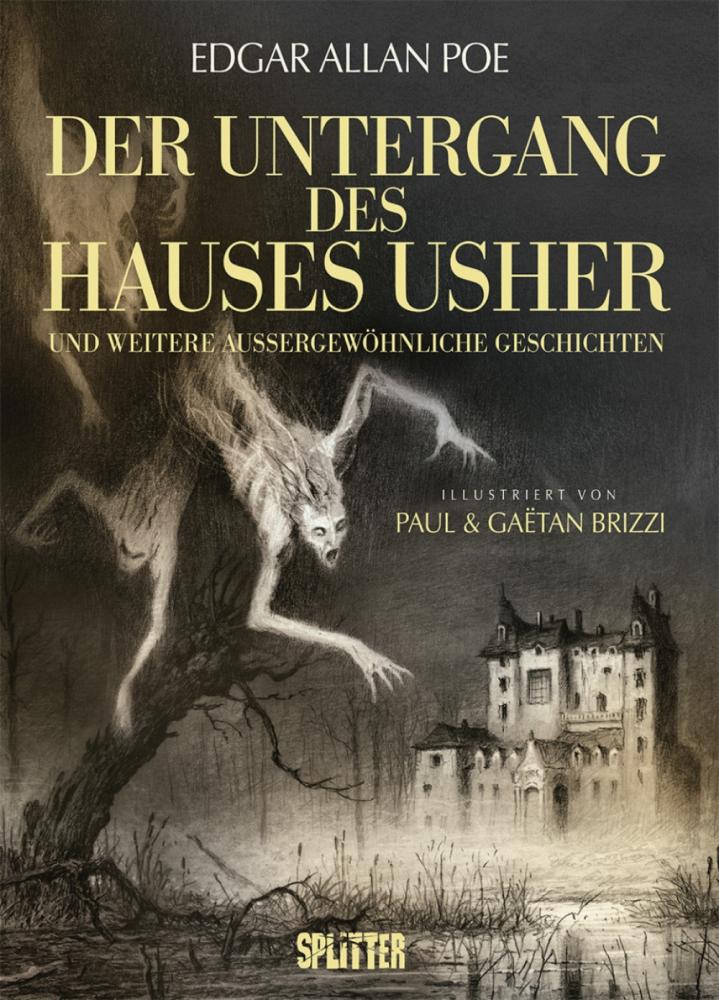 Der Untergang des Hauses Usher (illustrierter Roman), Splitter ...